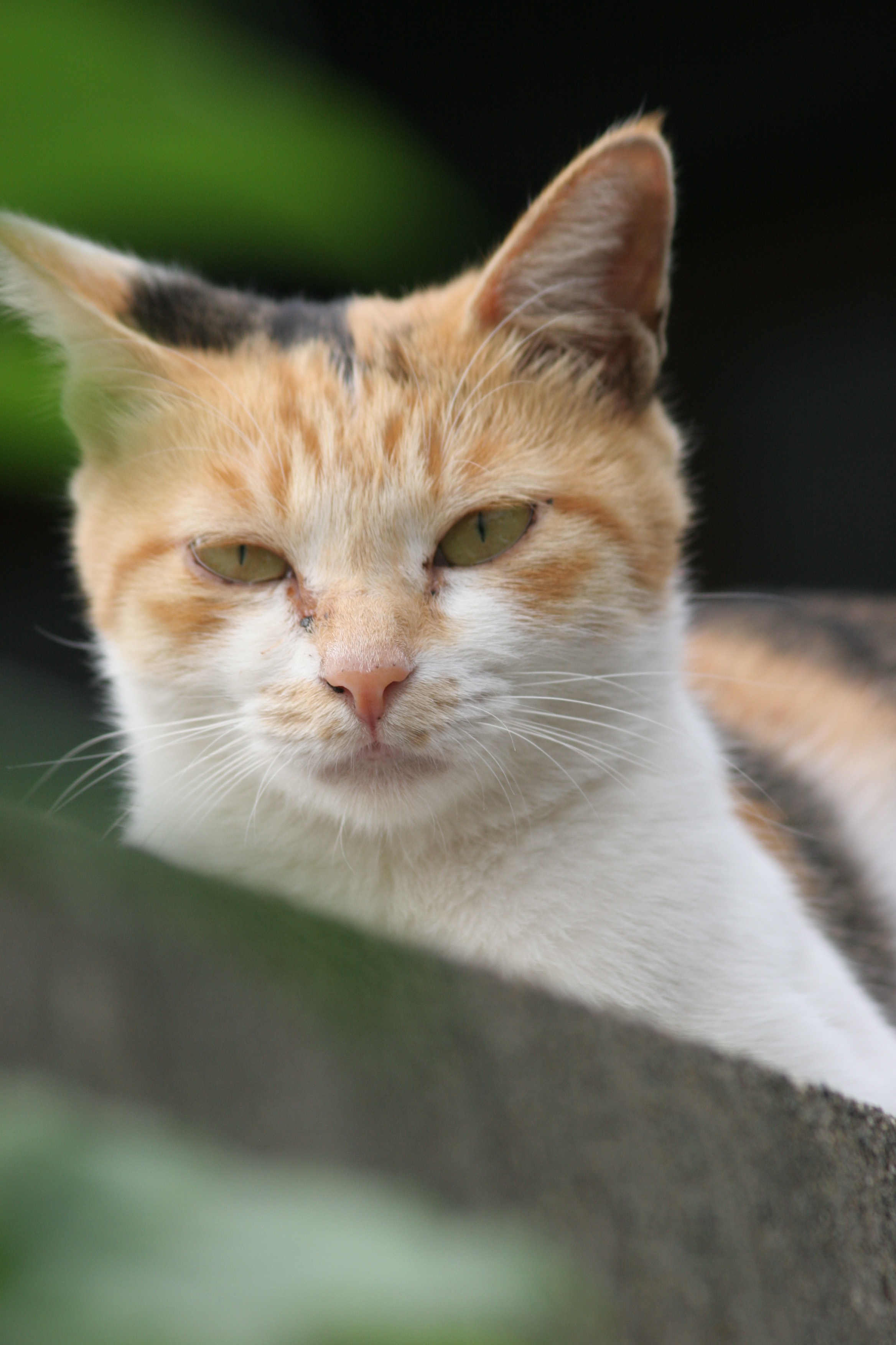 Why do Filipinos work Abroad? | Buchiblo